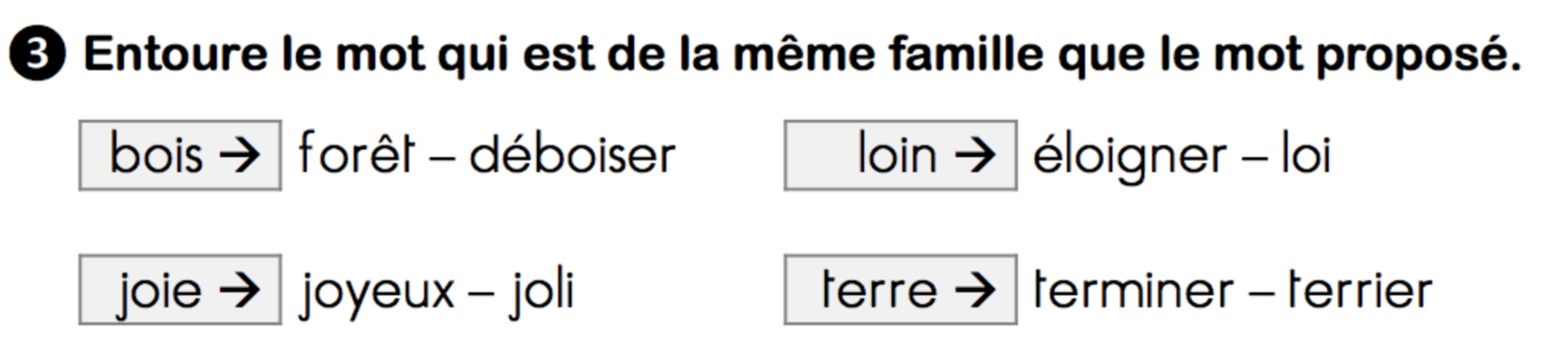 French B: Les familles de mots | Philpot Education