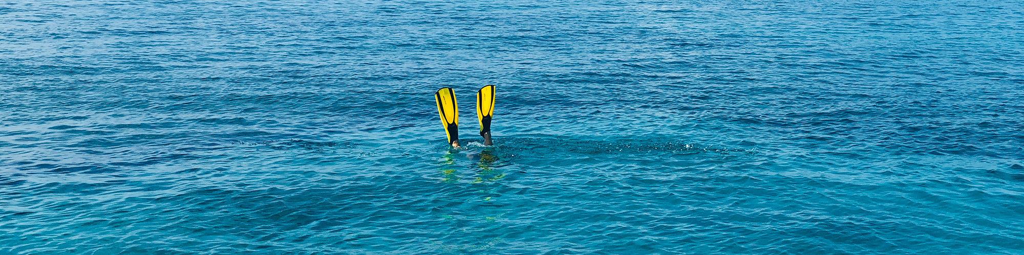 Summary of Deep Dive: Paper 1 | Philpot Education